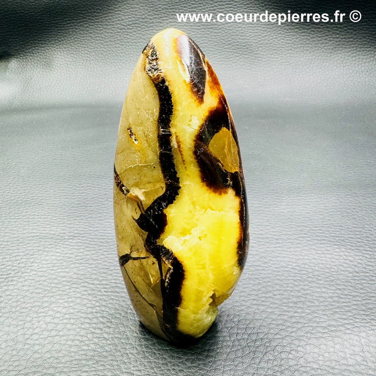 Septaria, Pierre du Dragon "Forme libre" (réf ss8) | Cœur de Pierres