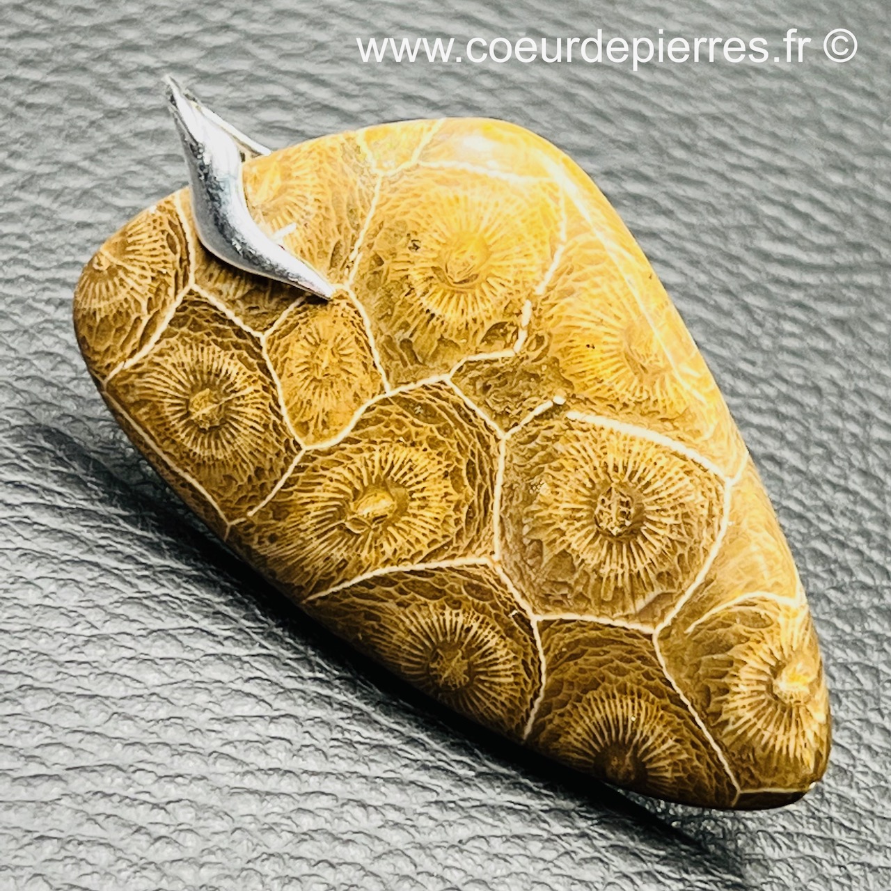Pendentif corail fossile de Malaisie (réf pco8) | Cœur de Pierres