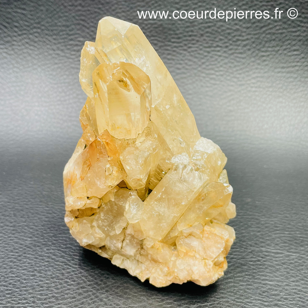 Druse de citrine naturelle d’Afrique “rare” (réf dc6) | Cœur de Pierres