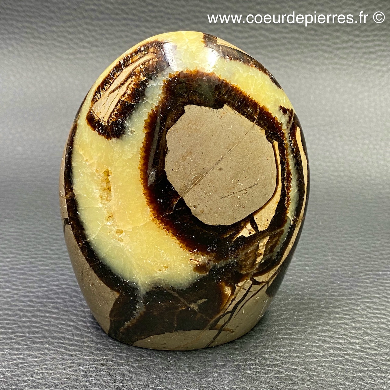 Septaria bloc forme libre, pierre du dragon de 0,509kg (réf ss8) | Cœur ...