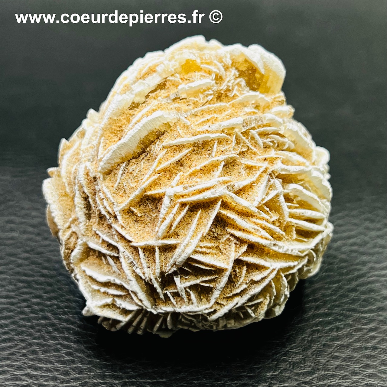 Prix Dune Rose Des Sables